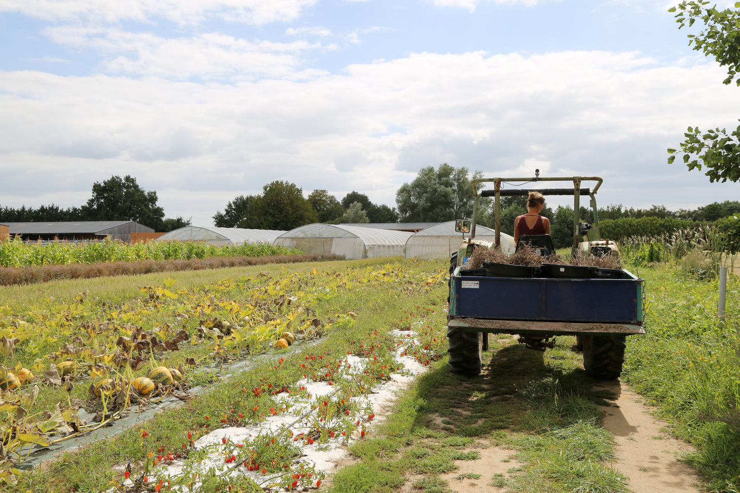 Qui sommes-nous ? – La Ferme de Sainte Marthe
